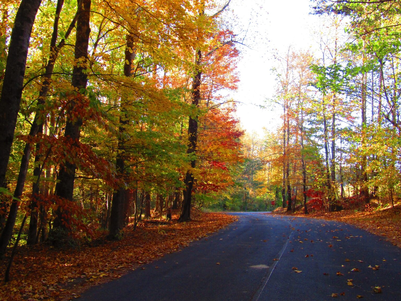 Bent Tree Realty – Discover Mountain Living